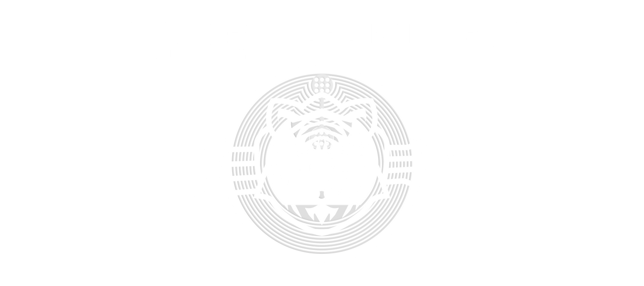 Tiger Tag – The Universal NFC Smart Tag for 3D Printing Filaments ...